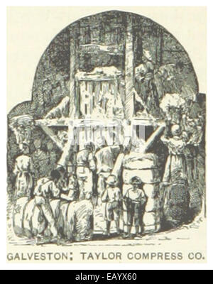 A historical illustration from 1891 depicting the flags of various U.S ...