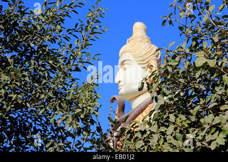 Side view of the statue of Lord Shiva at daytime Stock Photo - Alamy