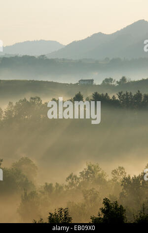 countryside view of northern Italy. Treviso. Veneto. Green meadow with ...
