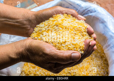 Hands holding a heap of dry rice grain on black background Stock Photo ...