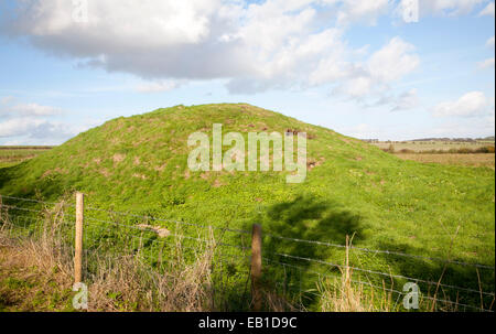 Prehistoric burial mounds, Seven Barrows, Seorfon Barrows, West Overton ...