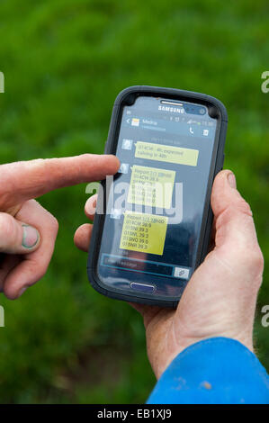 Cattle farming, electronic calving thermometer that is placed inside ...