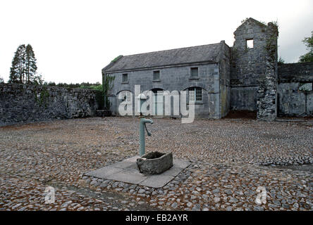 TULIRA CASTLE, COUNTY GALWAY, IRELAND. HOME OF EDWARD MARTYN, ONE OF ...
