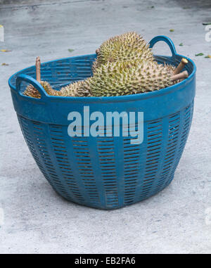 Durian fruits in basket Stock Photo - Alamy