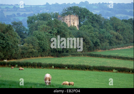 Longtown Castle, Herefordshire, England, United Kingdom, Europe Stock ...