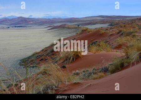 Namibia, Hardap region, Namib desert, Namib-Naukluft national park ...
