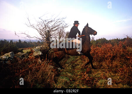 FOX HUNTER IN COUNTY KILKENNY HUNT, IRELAND Stock Photo - Alamy