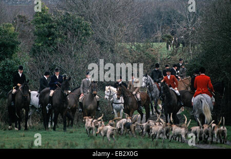 HUNTING HOUNDS, COUNTY KILKENNY, IRELAND Stock Photo - Alamy