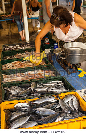 Local fish market, Split, Croatia Stock Photo: 26675552 - Alamy