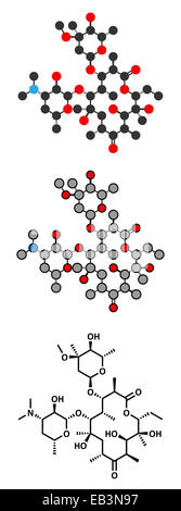 Erythromycin ethylsuccinate. Molecular model of the antibiotic drug ...