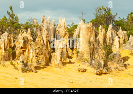 The Pinnacles, Nambung NP, WA, Australia Stock Photo - Alamy