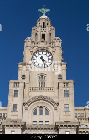The Royal Liver Building clock tower and Liver Bird at Pier Head ...