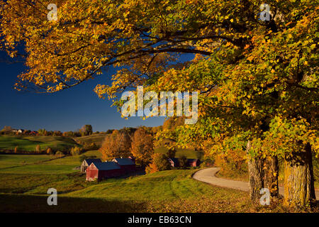 Rolling green fields at Jenne Farm in Reading Vermont USA with trees in ...