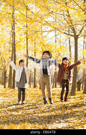 Girls hand catching falling autumn leaves Stock Photo - Alamy
