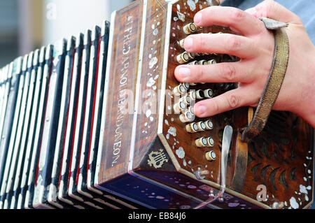 Playing the bandoneon, traditional tango instrument, Argentina Stock ...