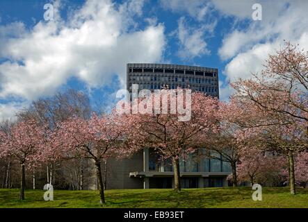 ILO or International Labour Office building in Geneva Switzerland Stock ...