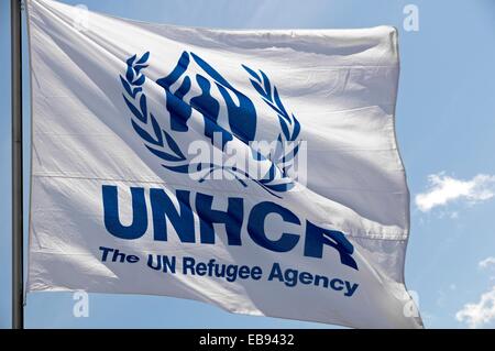 Flag of the United Nations High Commissioner for Refugees (UNHCR Stock ...