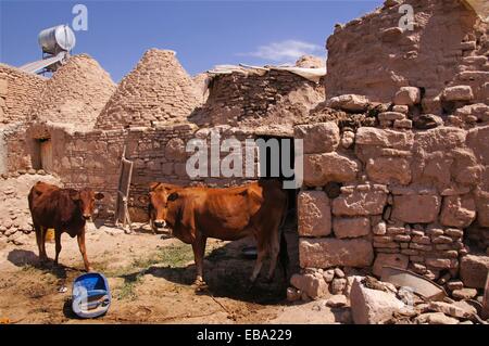 Ruins at Harran, Turkey. Haran, Charan, or Charran is a Biblical place ...