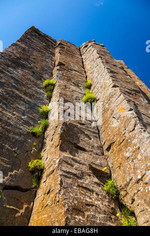 Basaltic columns of Gerouberg, Snaefellsness peninsula, Iceland, Europe ...