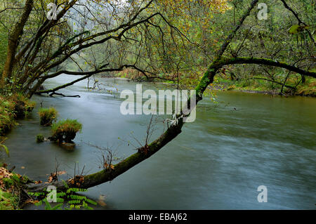 River Urumea in Hernani, Basque Country, Spain, Euskadi, Euskal Herria ...