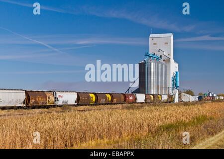 Grain hopper rail car, Saskatchewan, Canada Stock Photo - Alamy