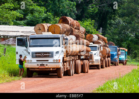 Brazil Amazon Rainforest Logging truck carrying timber Stock Photo - Alamy