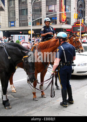 Female Police Horse rider, New york Stock Photo - Alamy