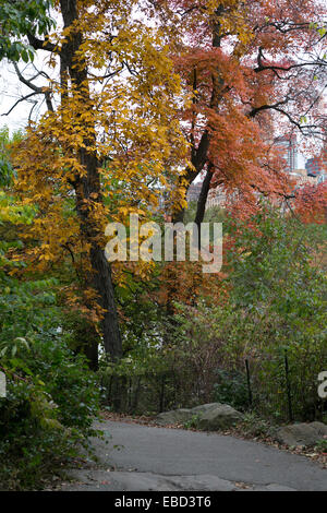 Colorful autumn in the city park, wooden stairs strewn with fallen ...