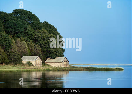 Nauset Marsh salt pond and rustic boathouse leading out to Cape Cod ...