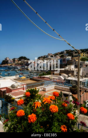 Aerial View of the Main Port of Ponza, Italy Stock Photo - Alamy