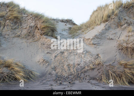 Erosion caused by waves and people on a sand dune in winter, Denmark ...