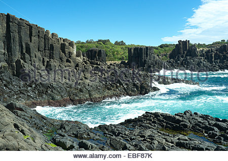 The basalt columns at Bombo Headland Quarry glow in the early morning ...
