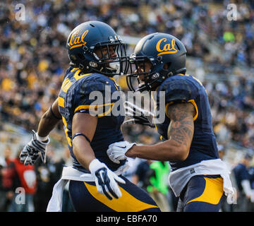 Berkeley USA CA. 29th Nov, 2014. California WR # 12 Bryce Treggs catch ...