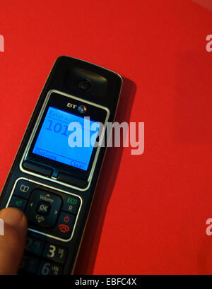 Police 101 non emergency phone number on the side of a police car Stock ...