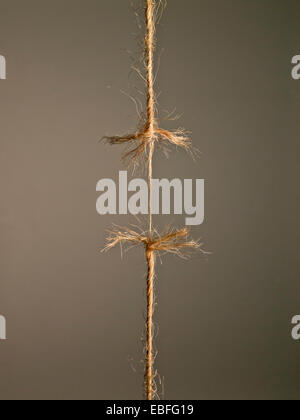 Rope under tension Stock Photo - Alamy