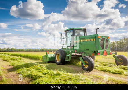 Self propelled disc mower cutting a field of hay (grass Stock Photo - Alamy
