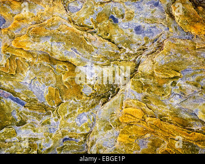 Rock Detail on the Beach at Amble by the Sea Northumberland Coast ...