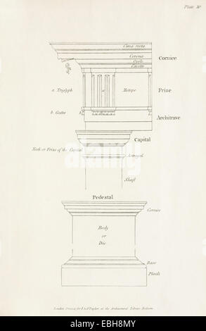 Classical order mouldings. See description for more information Stock ...
