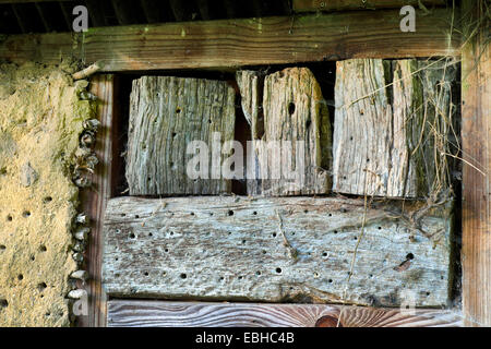 Insect hotel in the Werderland nature reserve, Bremen Lesum, Germany ...