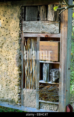 Insect hotel in the Werderland nature reserve, Bremen Lesum, Germany ...