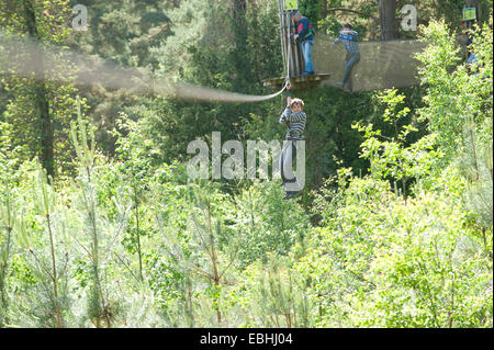 High ropes course in Wales Stock Photo - Alamy