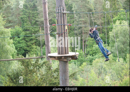 High ropes course in Wales Stock Photo - Alamy