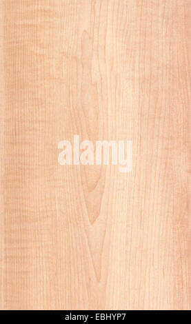 maple wood texture Stock Photo - Alamy
