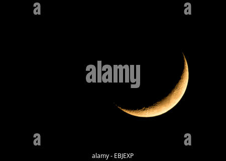 Phases of the Moon: waxing crescent, first quarter, waxing gibbous ...