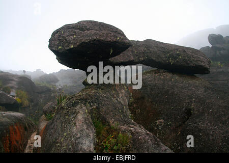 Rock formations, Mount Roraima, Canaima National Park Stock Photo - Alamy
