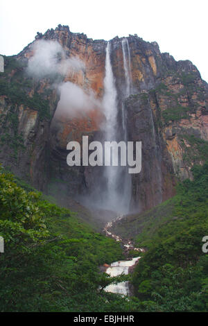 Angel Falls at the table mountain Auyan Tepui, the world's highest ...
