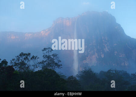 Angel Falls at the table mountain Auyan Tepui, the world's highest ...