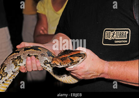 Prisoners holding hands Stock Photo - Alamy