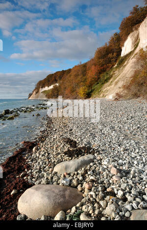 Rocky beach coastline on Ruegen island in Germany during sunset over ...