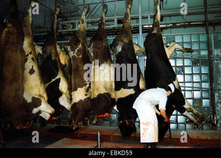 Butcher hanging cow head Stock Photo: 37980767 - Alamy